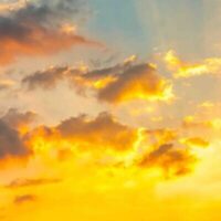 AdRM：アドリーチマックスの話を聴いてきた。 | Programmatica Inc.